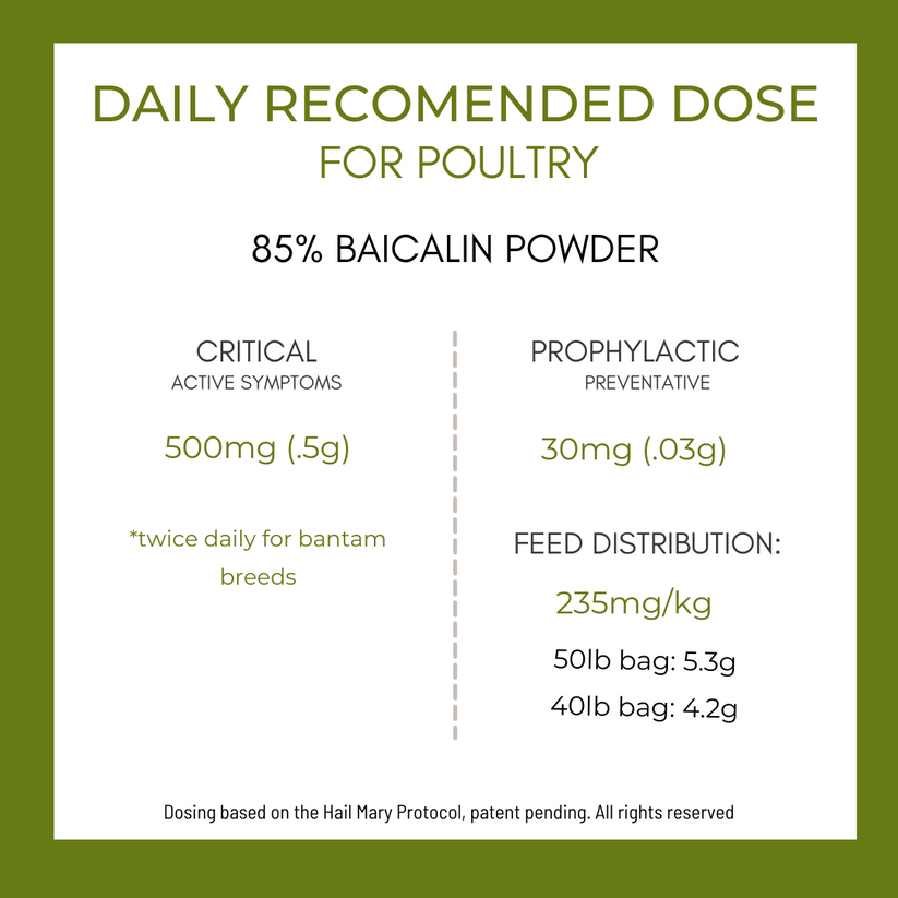 Fortiflock™ Positive Support 85% Baicalin powder – Dam Kids Ranch