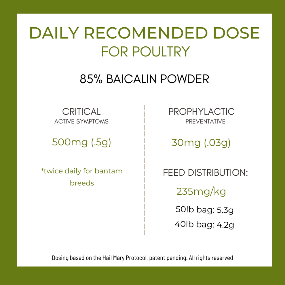 Fortiflock™ Positive Support 85% Baicalin powder – Dam Kids Ranch